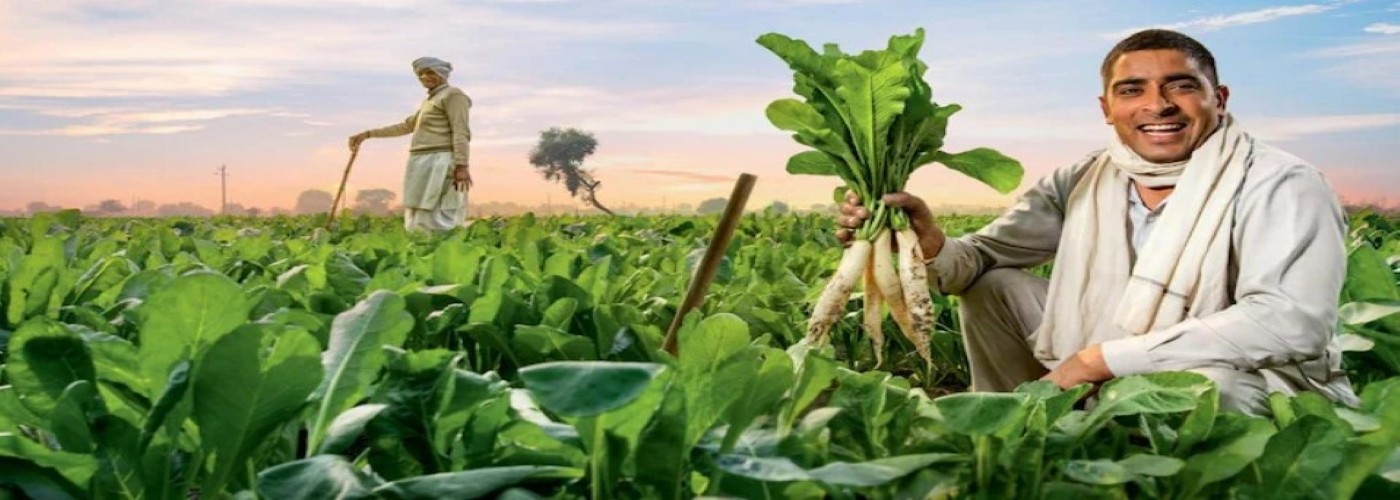 About Us - Alpha Agro Industries