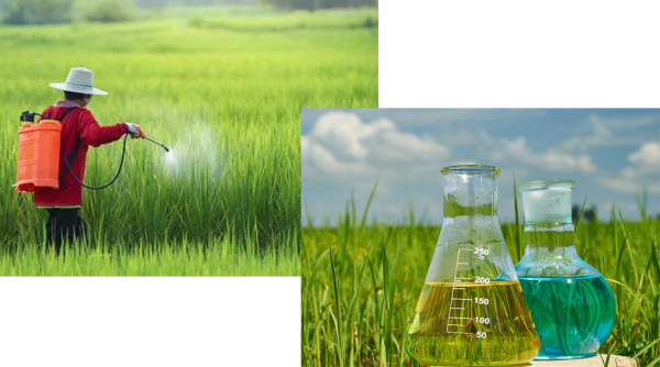 About Us - Alpha Agro Industries